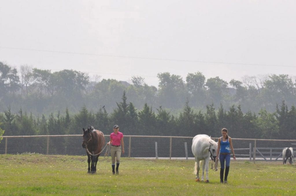 Photo Gallery | Hunters Gate Stables - Princeton, Texas
