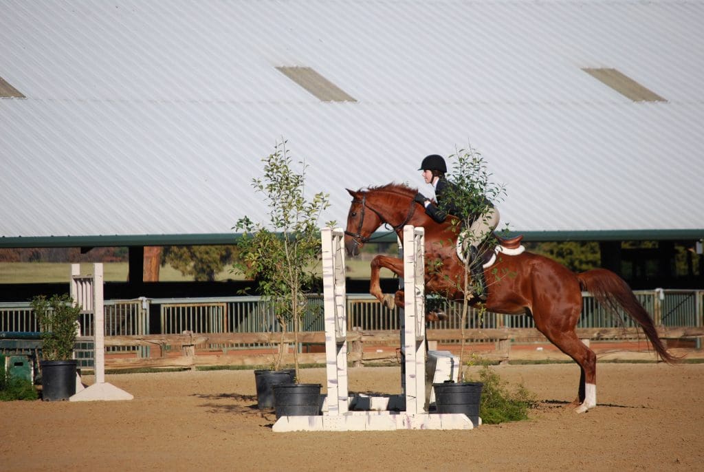 Photo Gallery | Hunters Gate Stables - Princeton, Texas