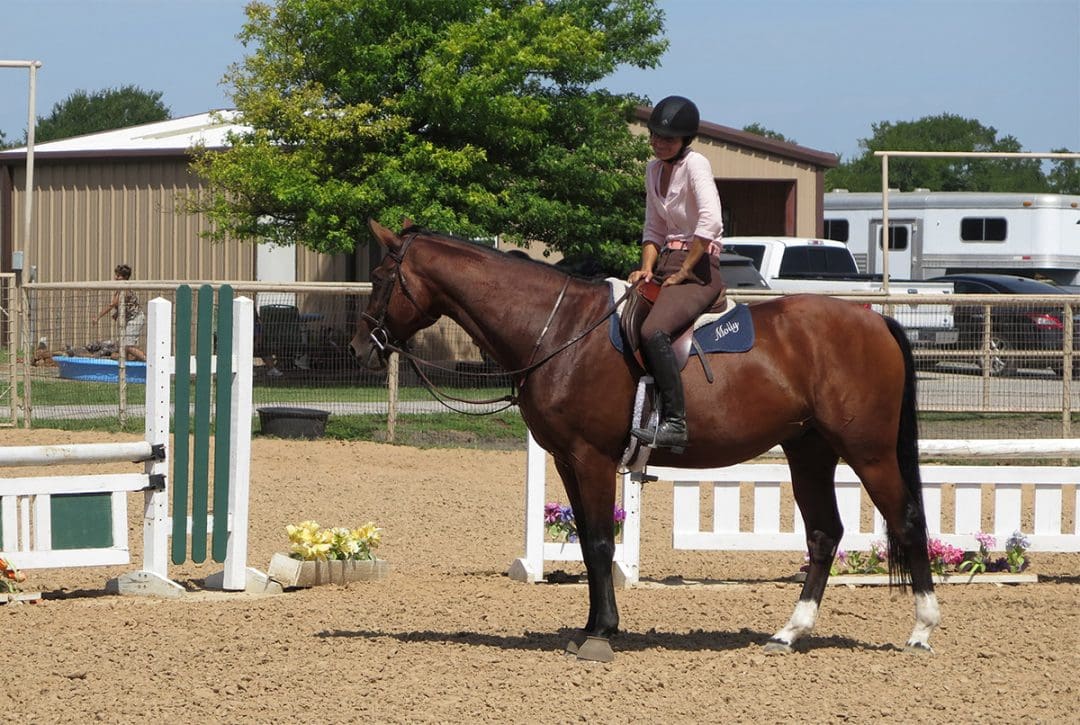 Photo Gallery | Hunters Gate Stables - Princeton, Texas