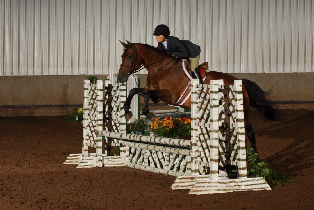 Photo Gallery | Hunters Gate Stables - Princeton, Texas