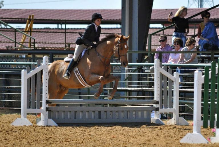 Photo Gallery | Hunters Gate Stables - Princeton, Texas