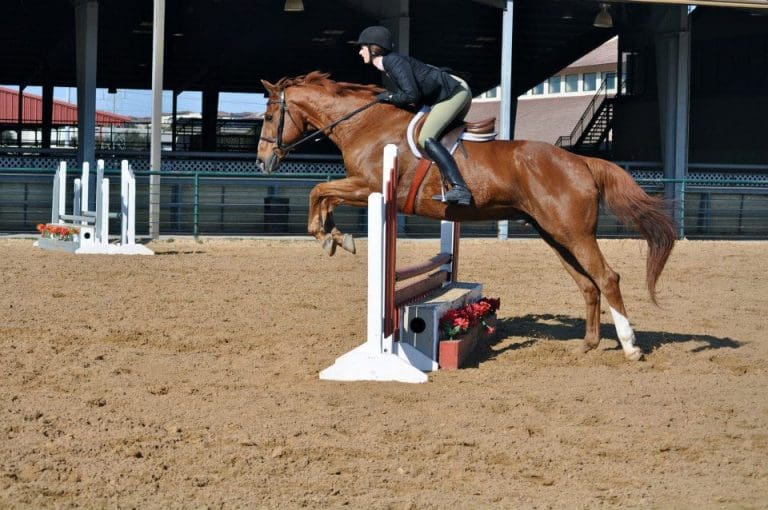 Photo Gallery | Hunters Gate Stables - Princeton, Texas